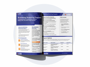 Rethinking Mentoring Workshop Guide - NCFDD